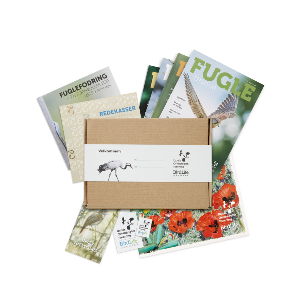 Giv en gave – DOF BirdLife